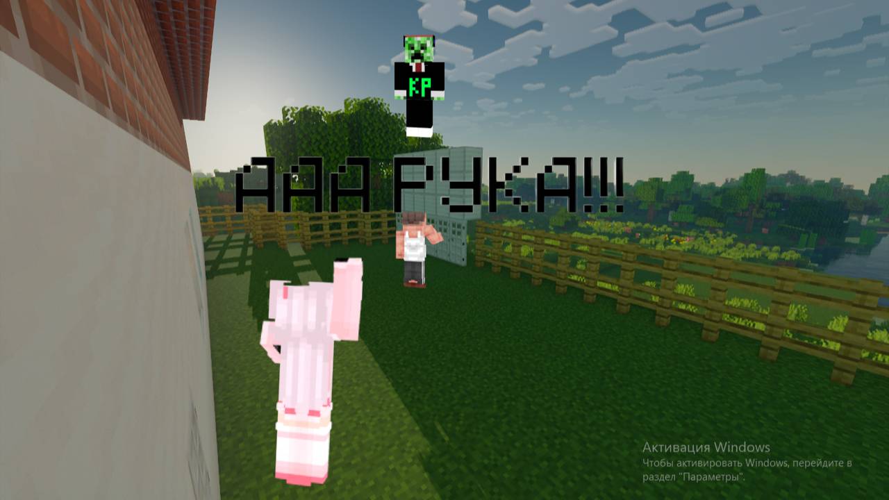 СБЕЖАЛ ЧЕРЕЗ ВОРОТА, И У БАТИ...