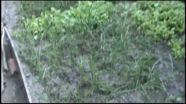 2024 Июнь Мама я