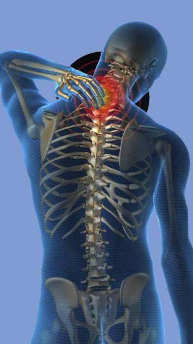 Новый комплекс для шеи