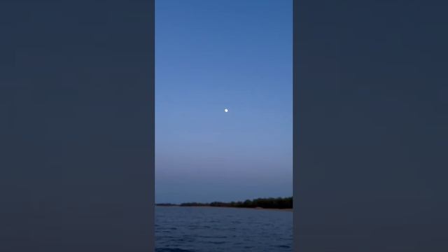 Утро в Риверсайд