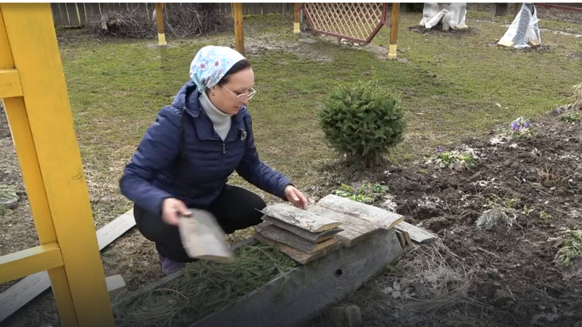 6 соток 20 апреля 2021 года. Рыхлю клематис, открыла розы, спирея и хоста.