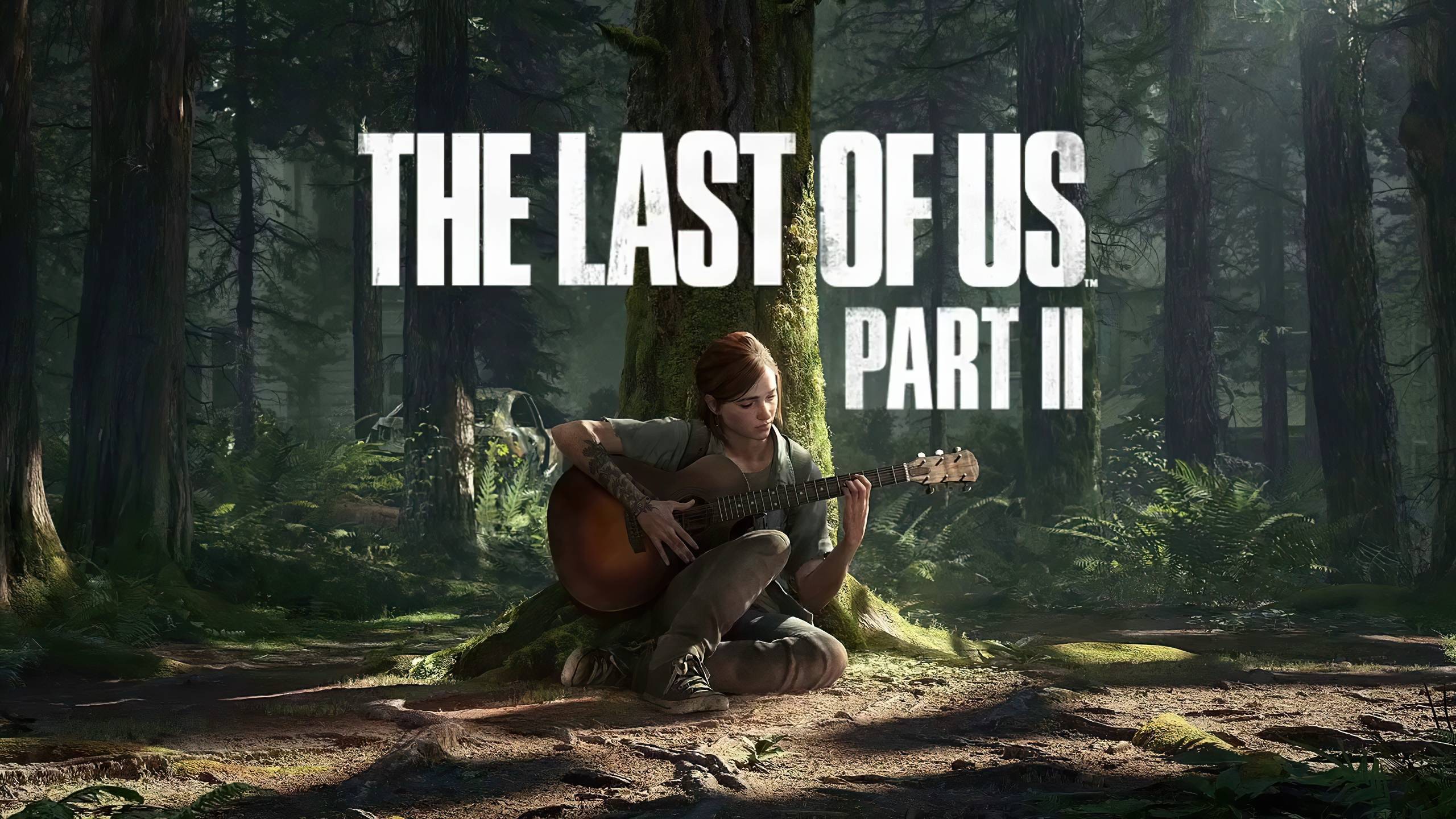 The Last of Us Part II Remastered #11