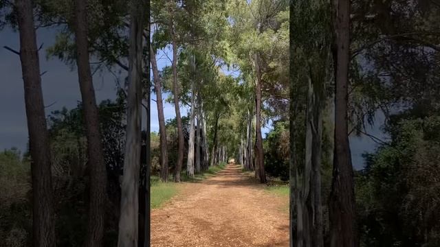 Рай на земле | Леринские острова 🏝️