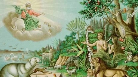 библия для детей создание мира