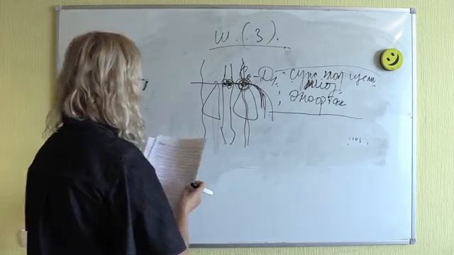 ВЕГЕТАТИВНАЯ НЕРВНАЯ СИСТЕМА