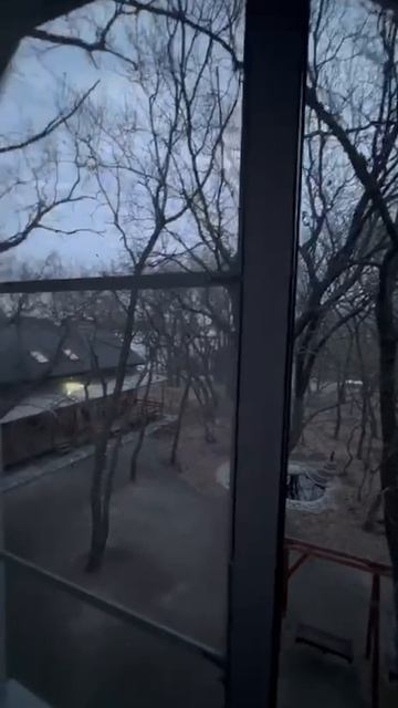 Утро из окна Риверсайд