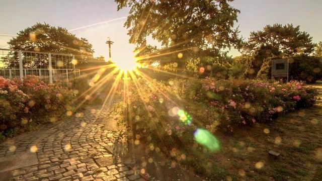 Свойства Энергии Трансформации