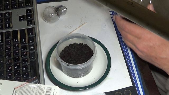 Клубника из семян 1 часть