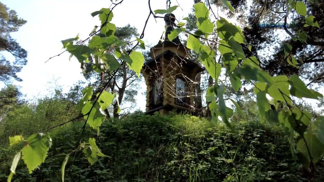 Родник "Три сосны". Сергиев-Посад. Игорь Крутой. Сон, увиденный во сне