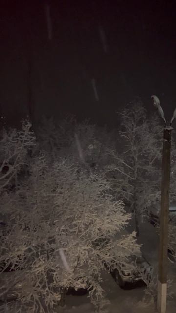 Весна идет, весне дорогу. А у нас во дворе 😝👀