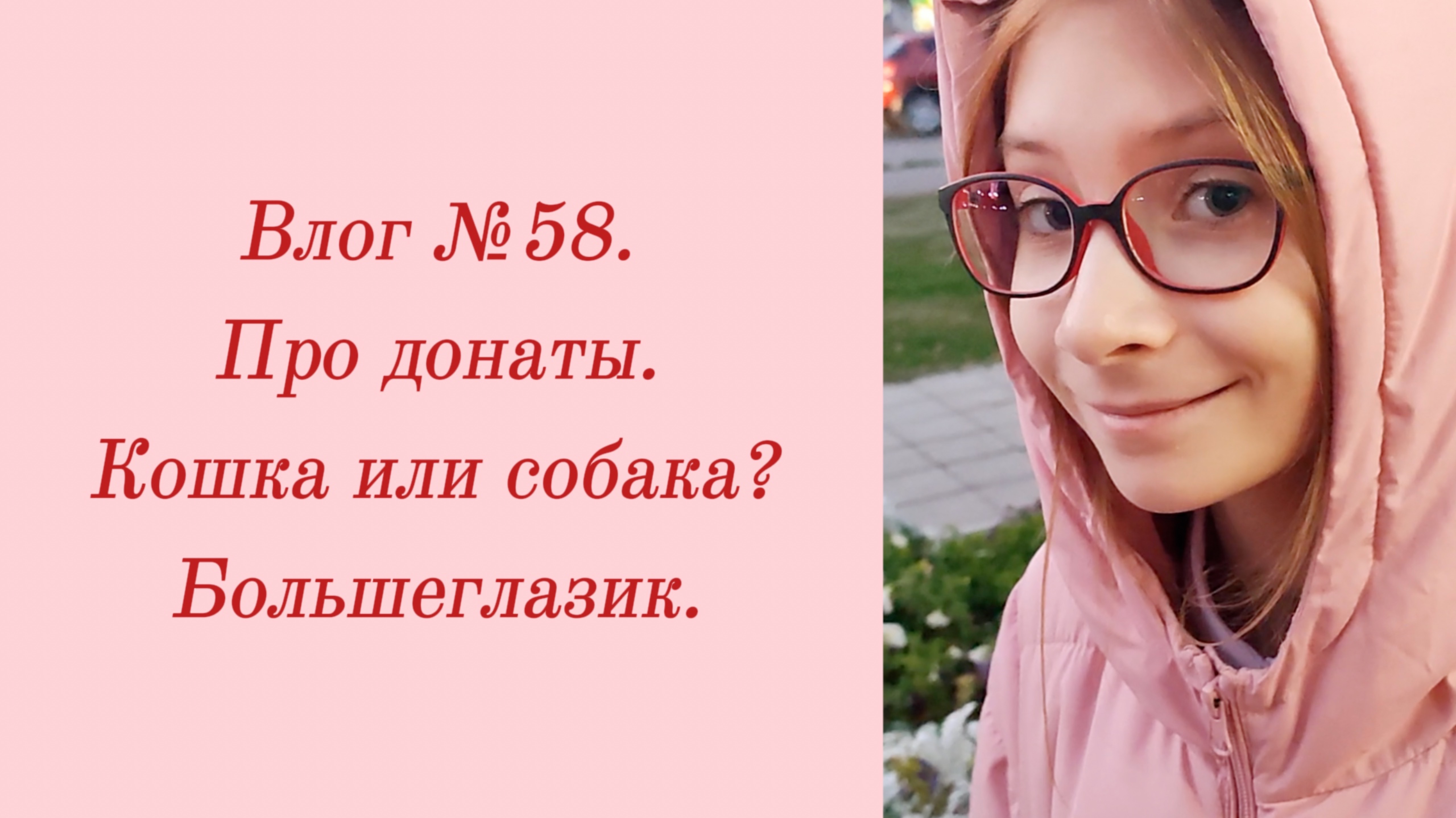 Влог №58. Про донаты/ Кошка или собака?/ Большеглазик. 10-16 октября 2024