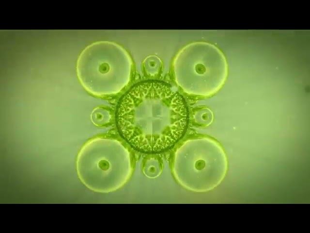 Исцеляющий настрой на стройную фигуру