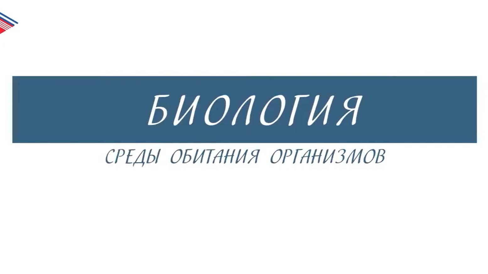 5 класс - Биология - Среды обитания организмов