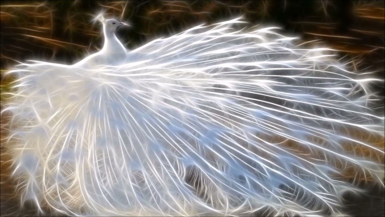 Очищение ауры и гармонизация тонких тел