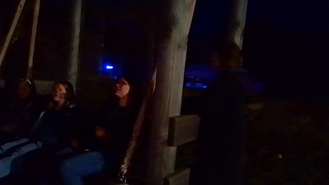 The Witcher на качелях в Каупе