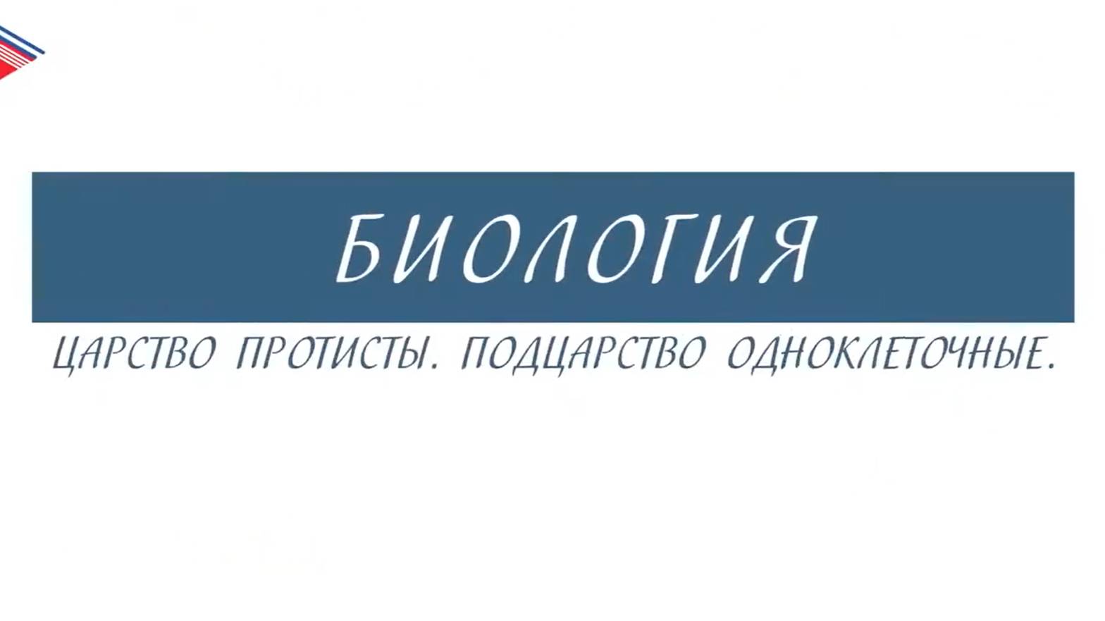 5 класс - Биология - Царство протисты. Подцарство одноклеточные