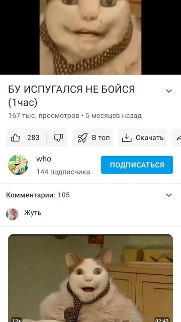 Кот:Бу испугался не бойся