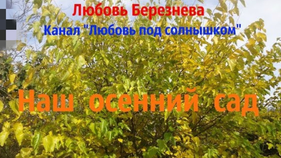 Осенний сад