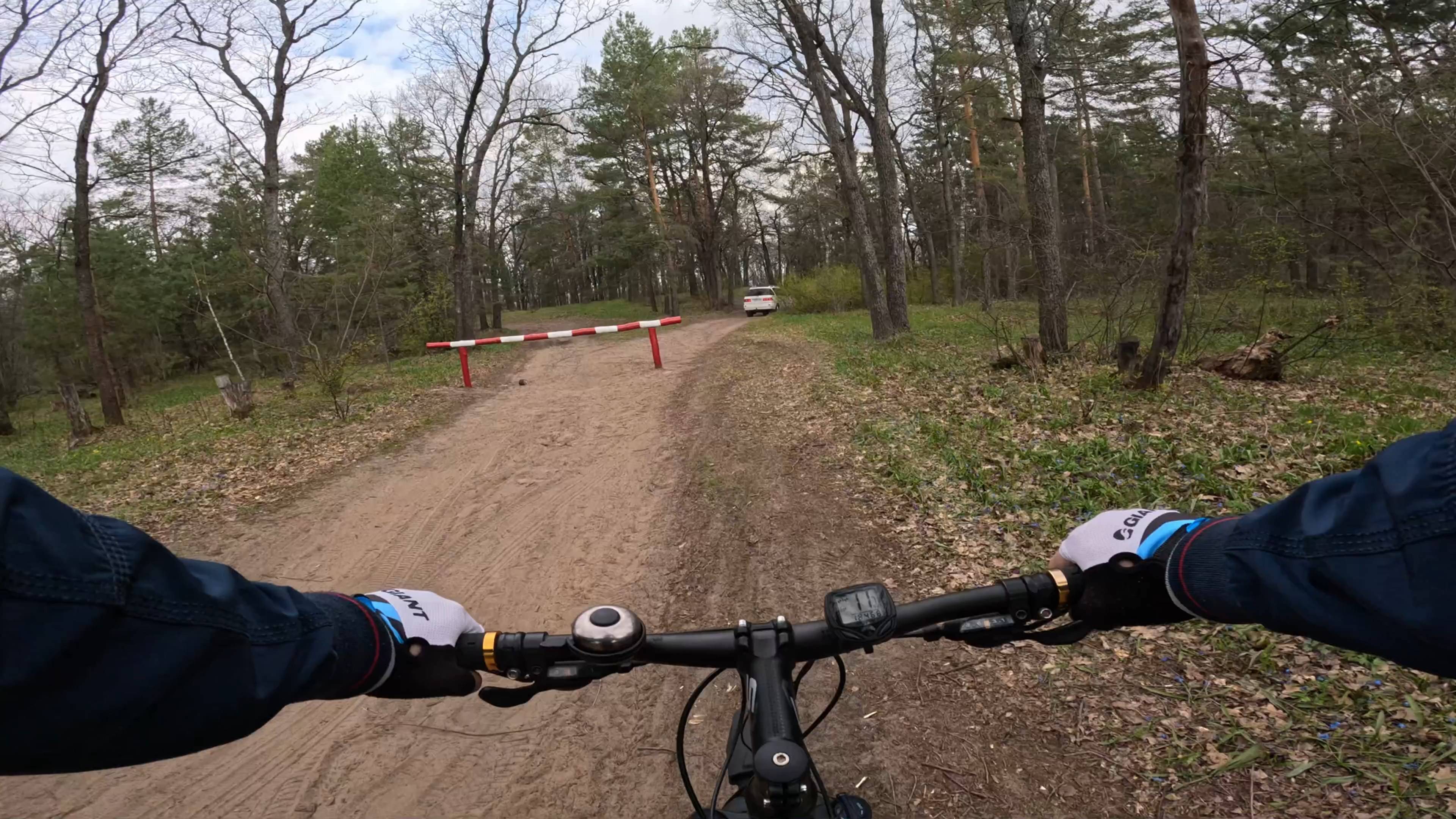 Велоболталка №2. Об автомобильном рынке и автосообществе