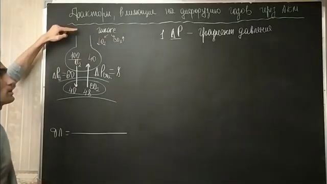 ДЫХАНИЕ. ГАЗООБМЕН В ЛЕГКИХ