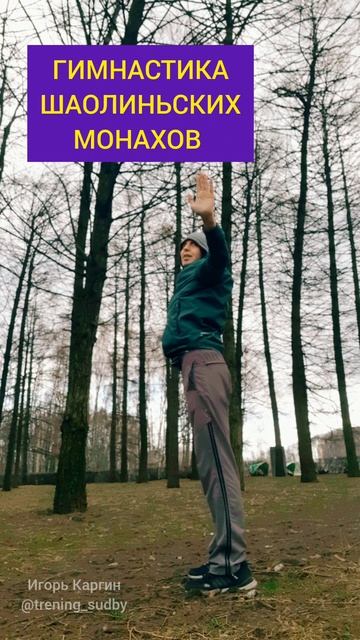 Гимнастика монахов из Шаолинь