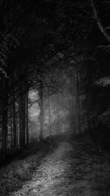 Кошмарик на ночь. Полные видео на канале!