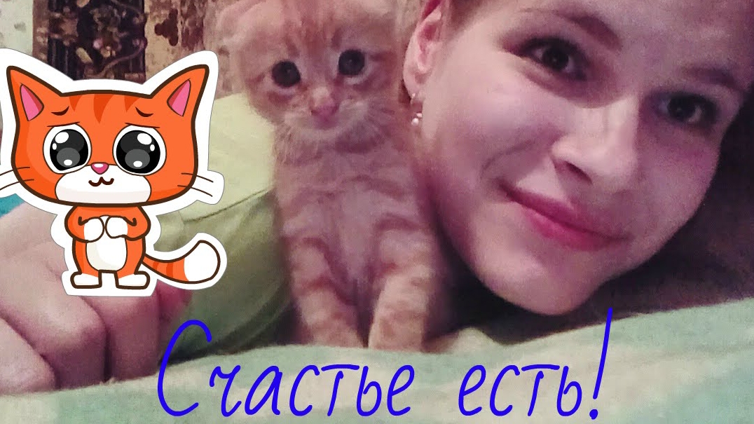 Котёнок. Баловаться весело.