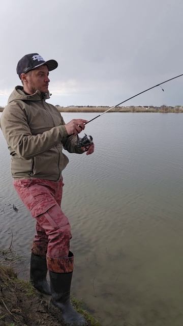 Поклёвка окуня 💪💪💪