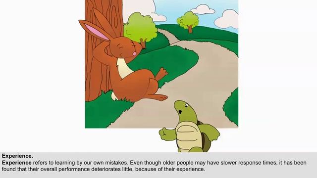 Human performance 4-2 обработка информации