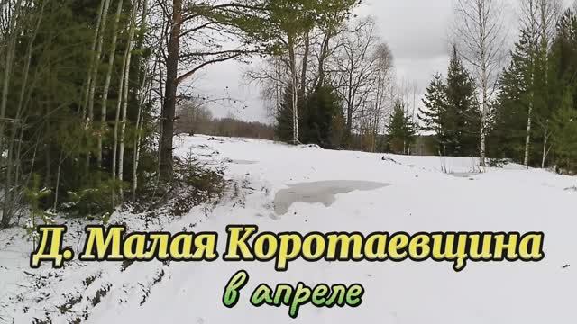 Деревня Малая Коротаевщина в апреле.mp4