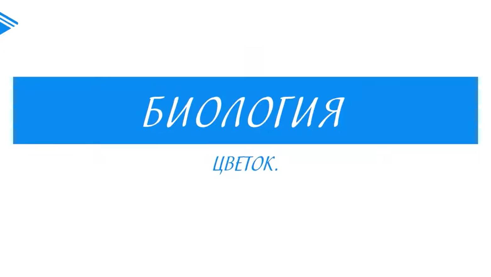 5 класс - Биология - Цветок