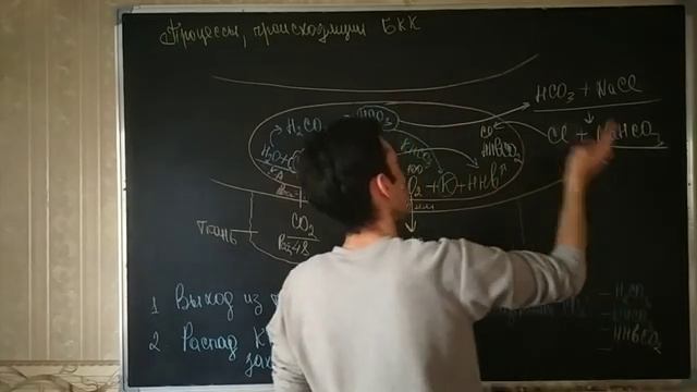 ДЫХАНИЕ. ГАЗЫ КРОВИ. БКК, МКК