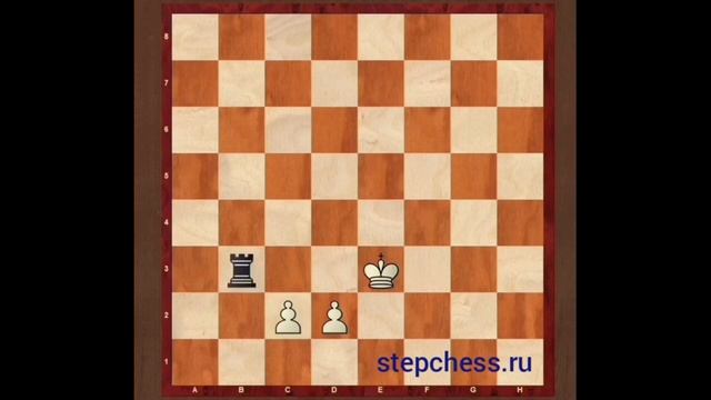 Шахматы для начинающих. Король.