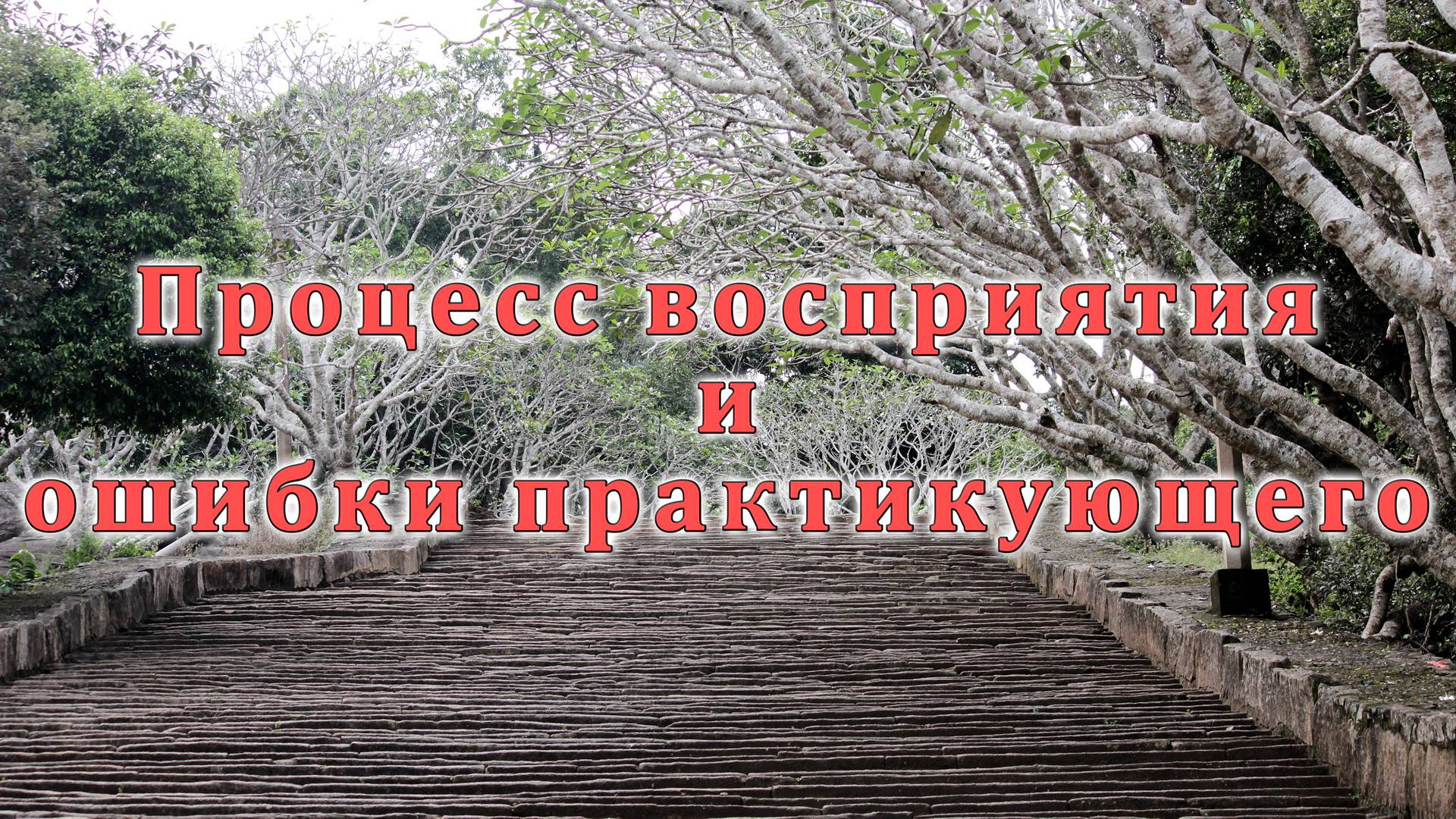 Процесс восприятия и ошибки практикующего