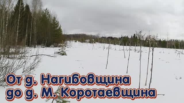 От деревни Нагибовщина до деревни Малая Коротаевщина.mp4