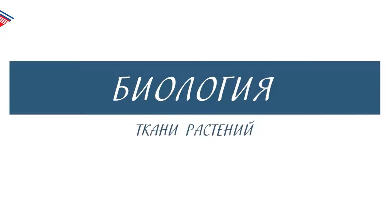 5 класс - Биология - Ткани растений