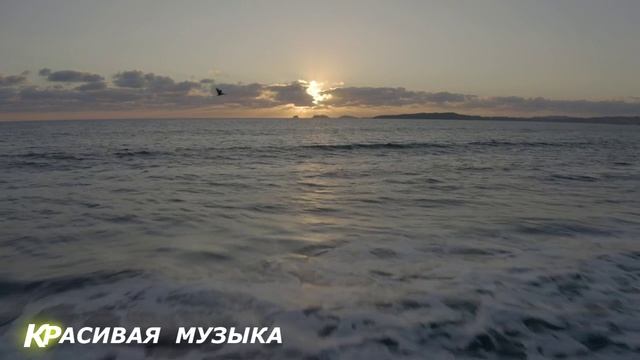 Создайте атмосферу гармонии с каждой нотой, открывая мир любви и красоты.