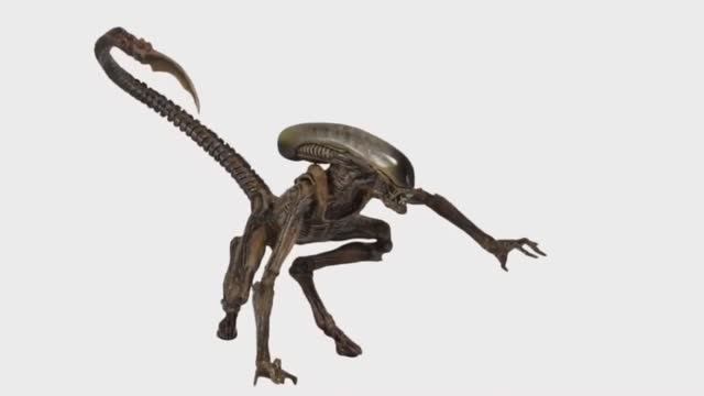 ЭТО МОЖЕТ СЛУЧИТЬСЯ С КАЖДЫМ !!! Паразитирующие организмы, живущие в теле человека