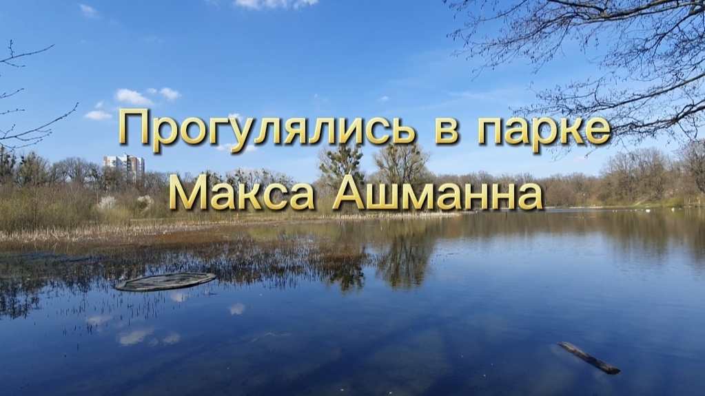 В Калининграде +21 Прогулялась с племянником в парке.