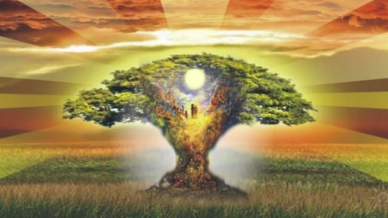 Медитация «ОЧИЩЕНИЕ РОДОВОЙ КАРМЫ И ИСЦЕЛЕНИЕ РОДА»