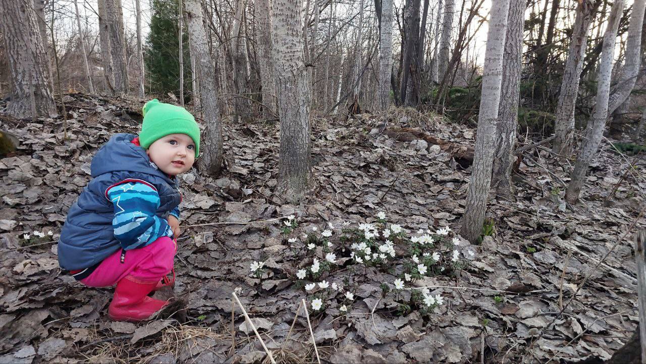 Вербочки! Поздравляю с Вербным воскресеньем! #верба #вербноевоскресенье #левша #дети #деточки