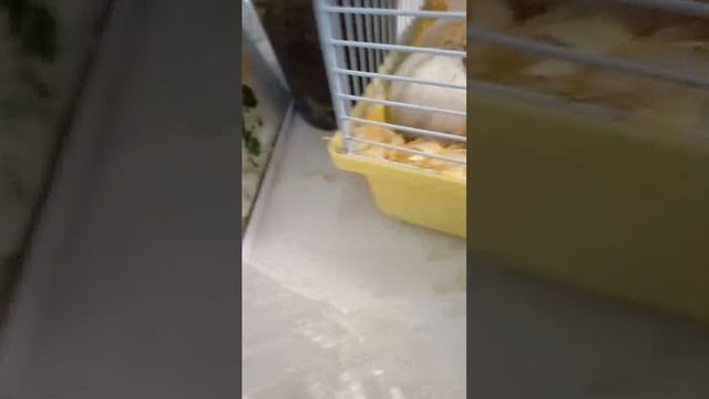 работаем строителем