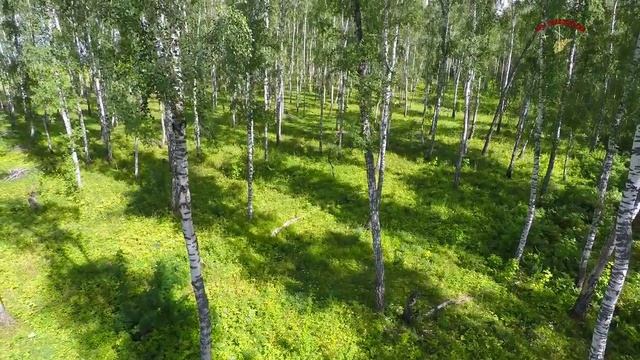 Соловецкие старцы.Нпставления.