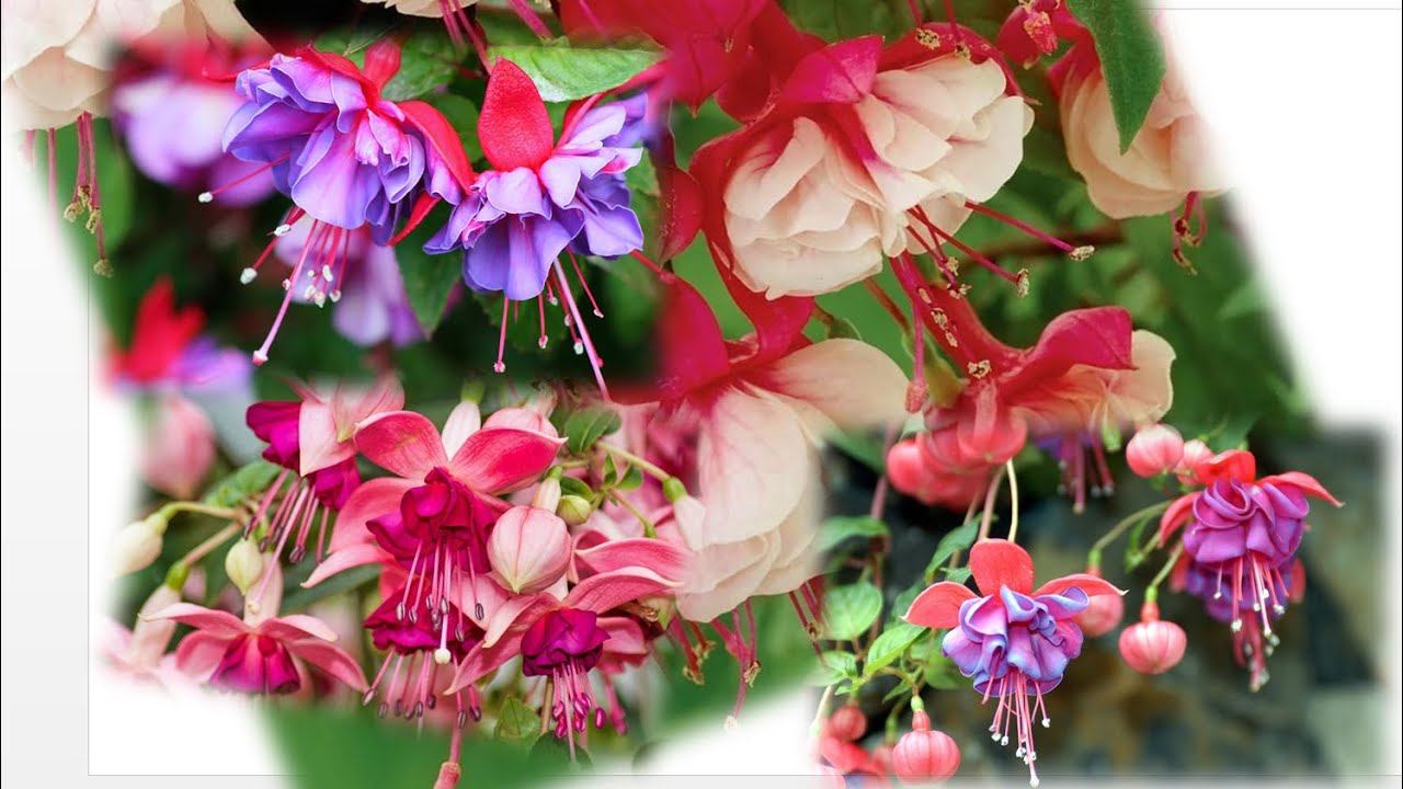 Ликвидация своих запасов пряжи