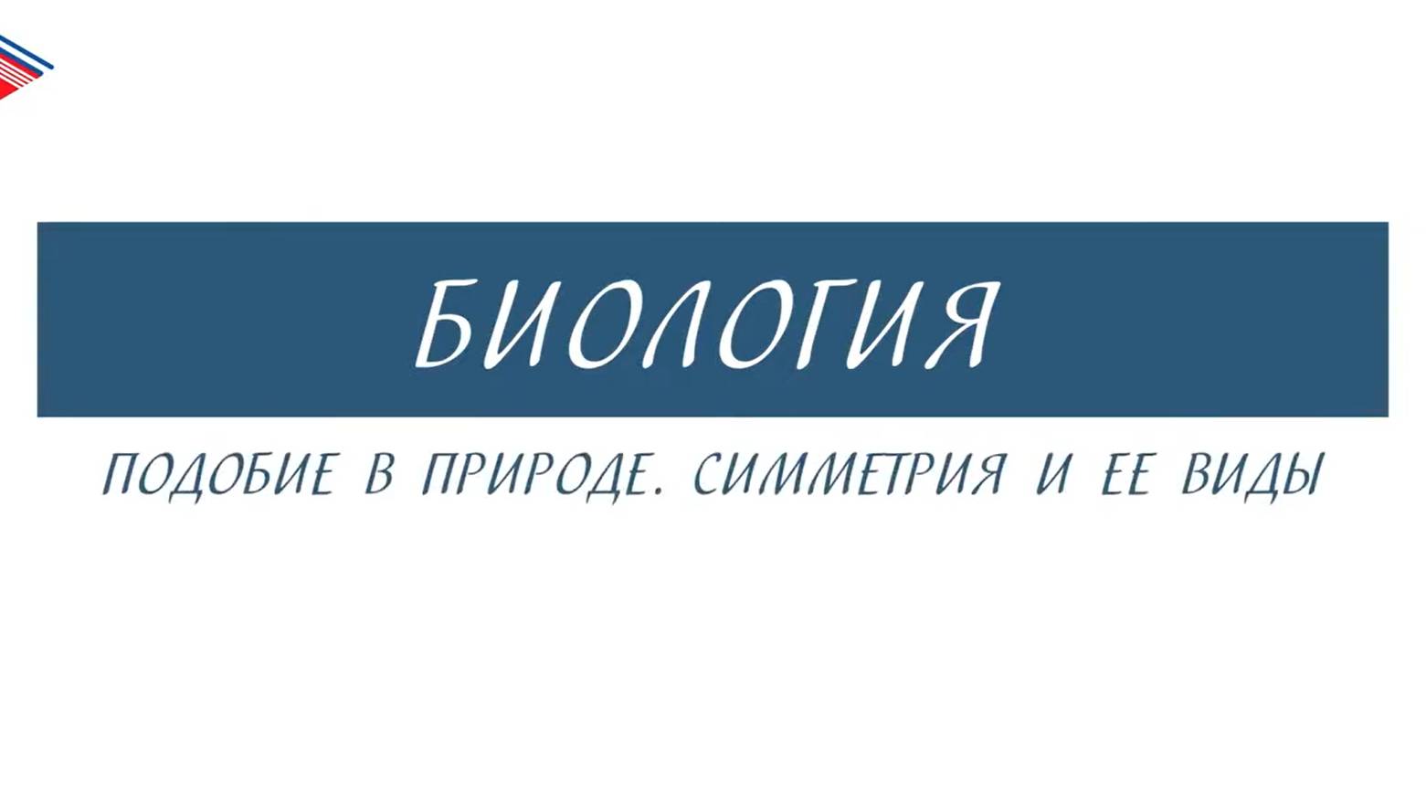 5 класс - Биология - Подобие в природе. Симметрия и её виды