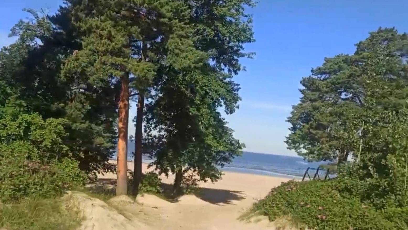 Природа Карельского перешейка, вид на Финский залив