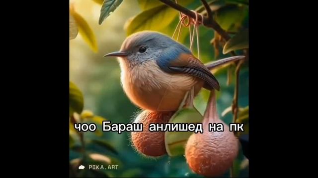 Смешные круглики МЕГА РИТП