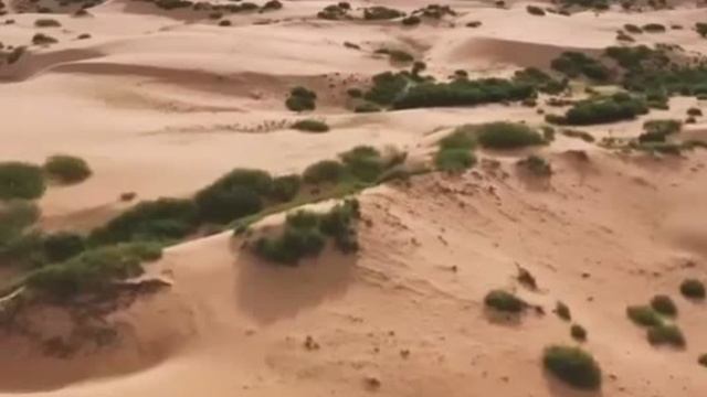 ... Что скрывает пустыня Сахара....