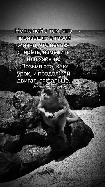 Правда жизни