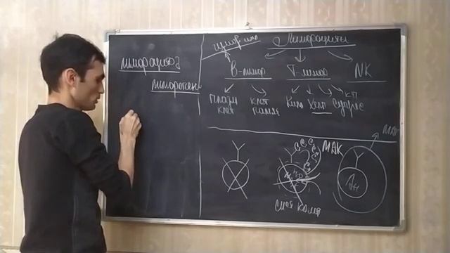 КРОВЬ ЛЕЙКОЦИТЫ ОБЩАЯ ХАРАКТЕРИСТИКА